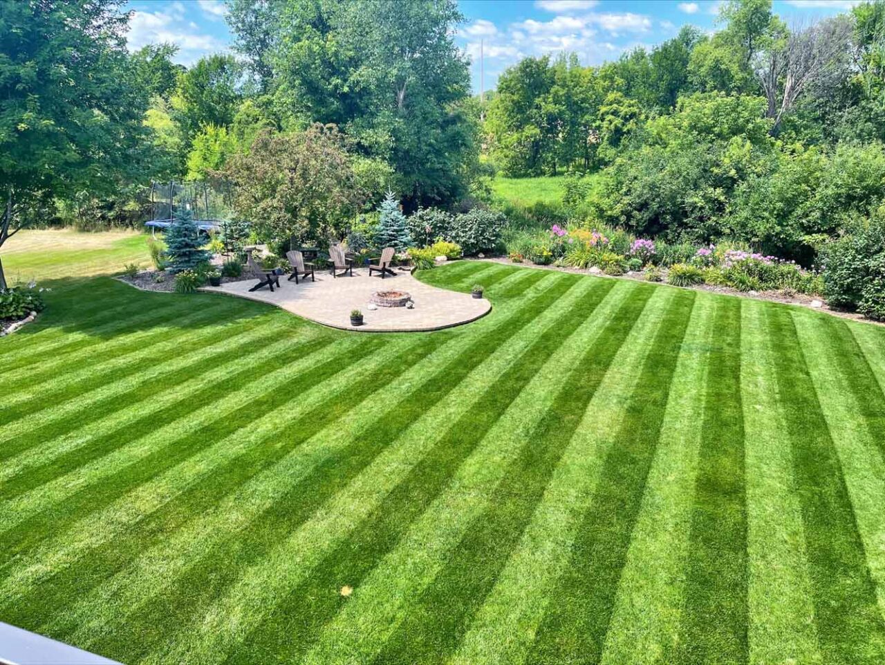 Lawn Maintenance | Creative Earthscapes